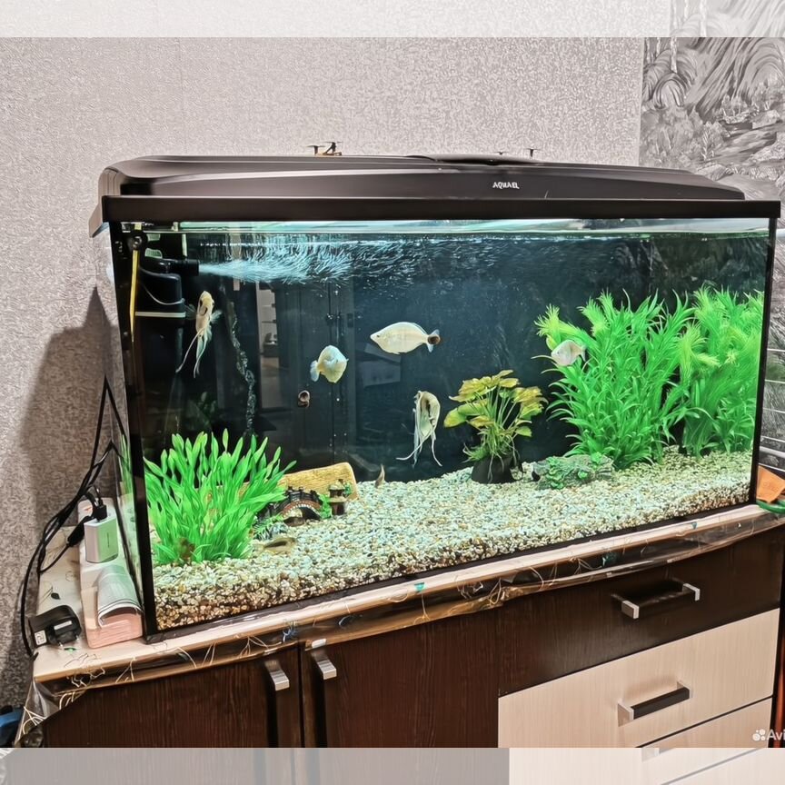 Аквариум на 200 литров