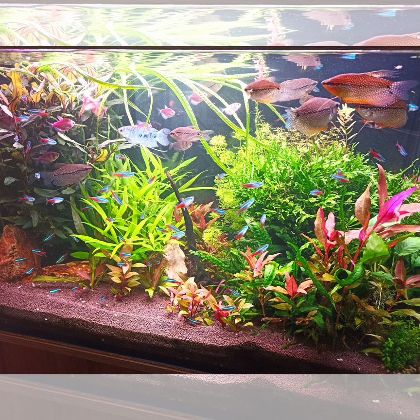 Аквариум с тумбой 180 л