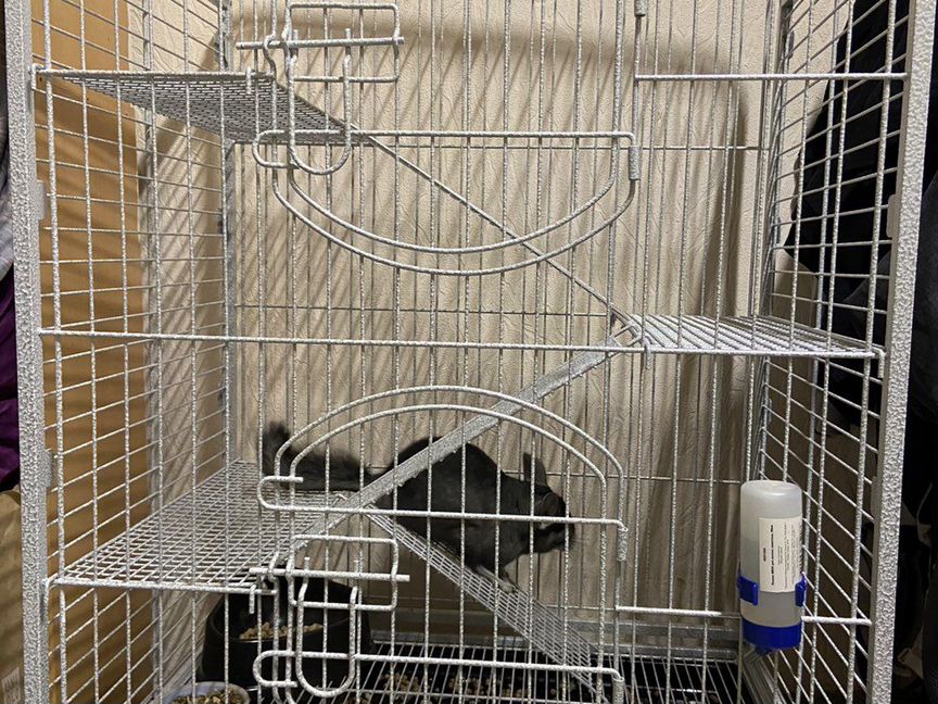 Клетка большая +поилки и миска для еды