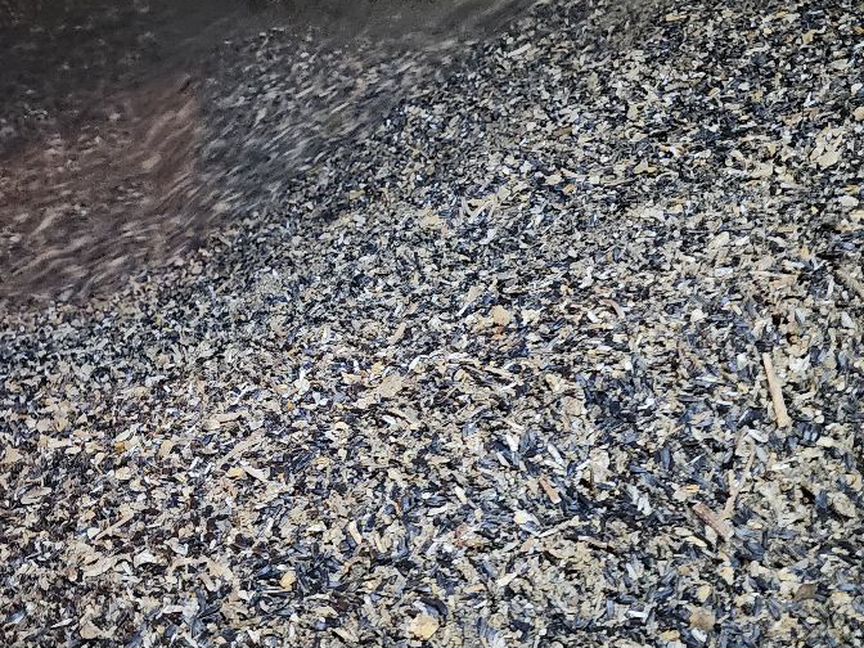 Отходы семечек хорошие