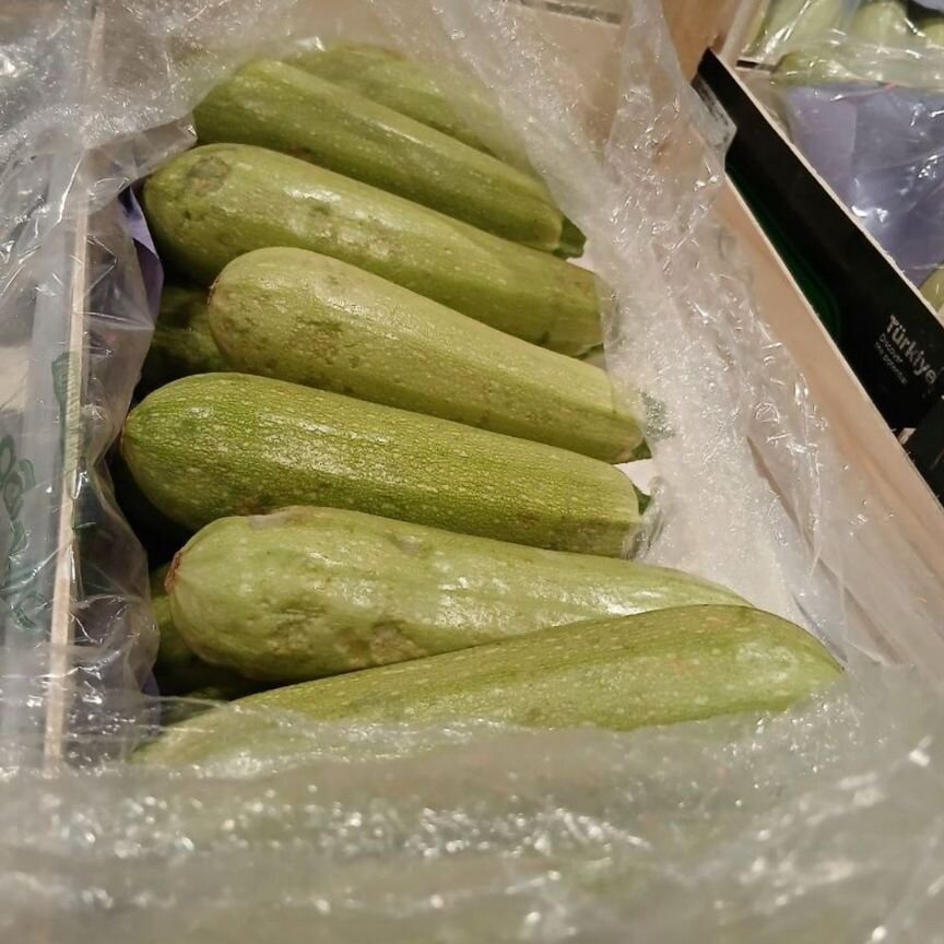 Кабачки для животных