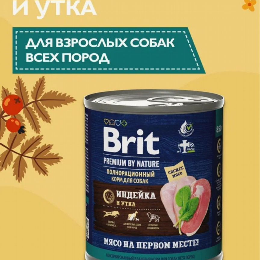 Корм для Собак Brit