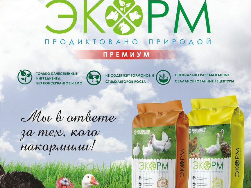 Комбикорм Экорм для кур несушек бройлеров