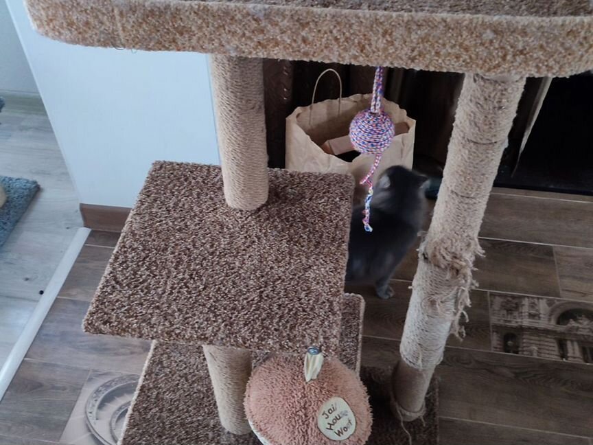 Домик-когтеточка для кошек (б/у)