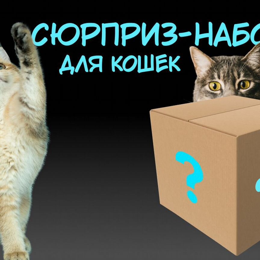 Подарочный набор для кошек