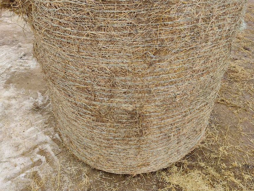 Сено в рулонах 2023 года оптом