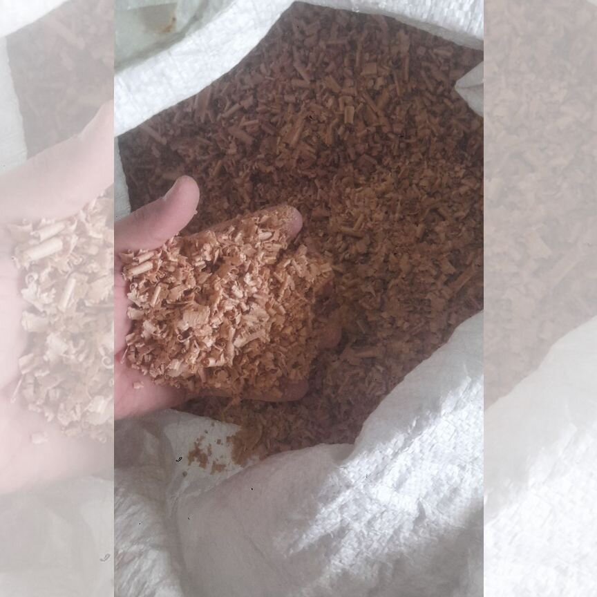 Буковая стружка
