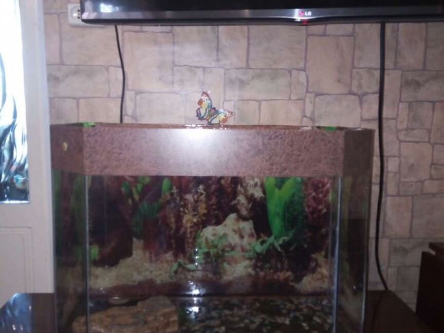 Большой аквариум