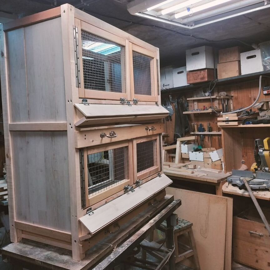 Брудер для цыплят