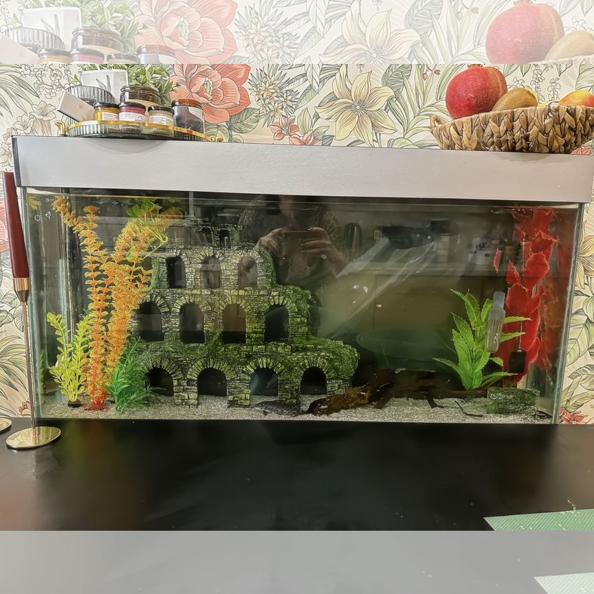 Аквариум 100 л с рыбками