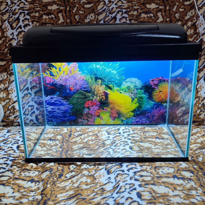 Аквариум с крышкой