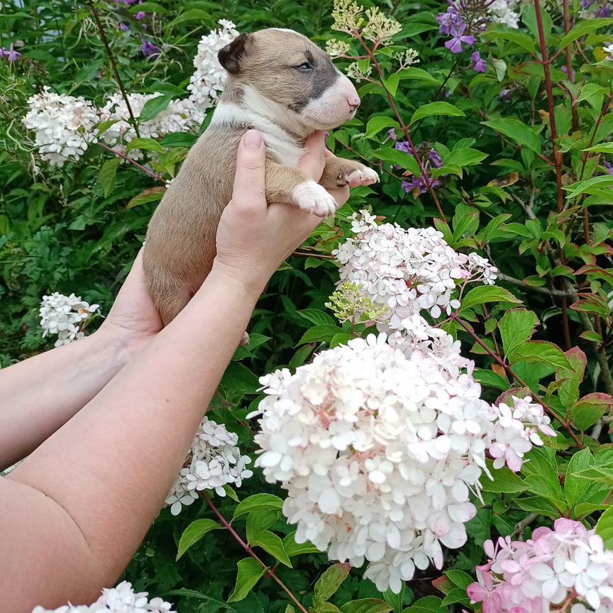 Бронь. Мальчишки