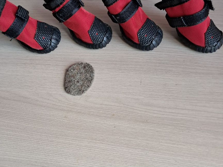 Обувь для маленьких собак