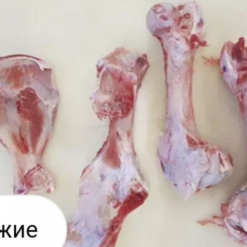 Кости для собак свинные