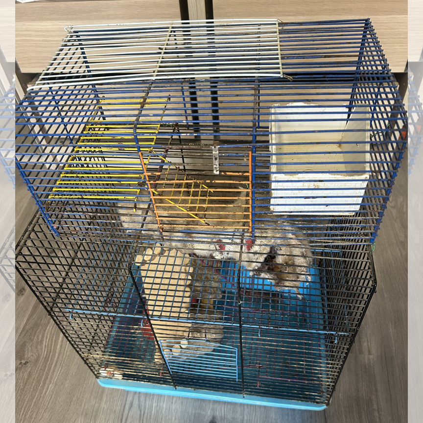 Клетка для грызунов