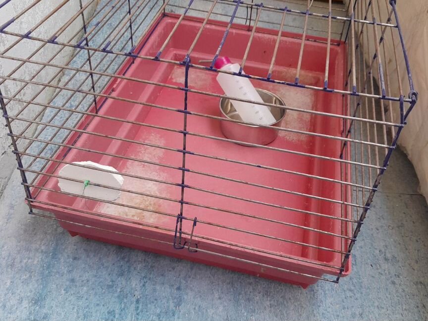 Клетка для кролика