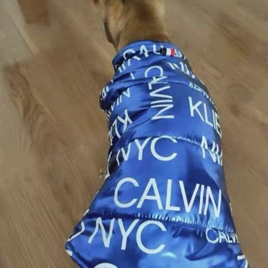 Одежда для собак жилет calvin klein