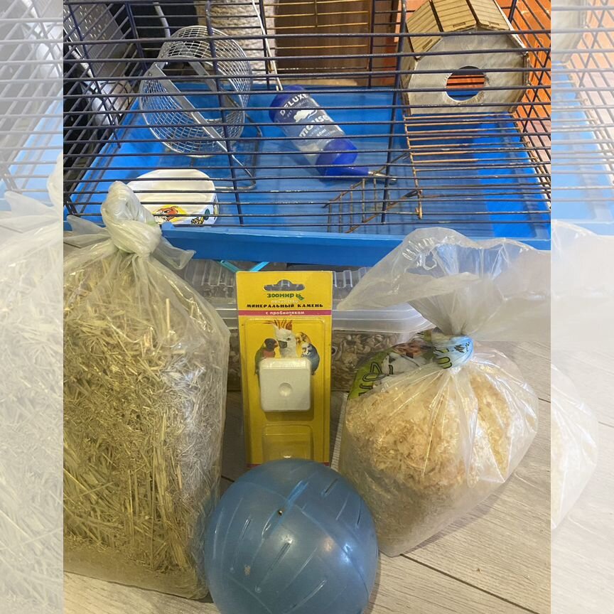 Набор «все для хомяка под ключ»