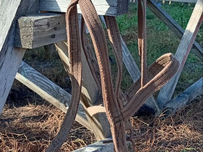 Уздечка для лошади