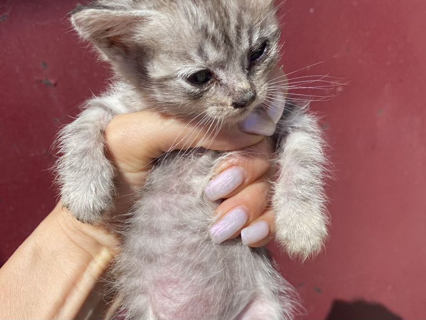 Малышка- милашка