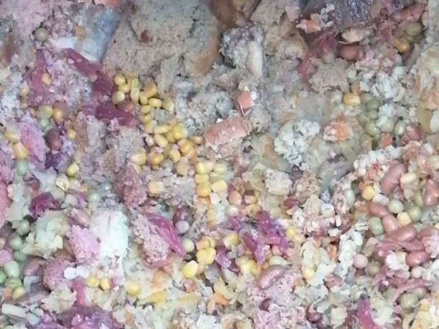 Пищевые отходы