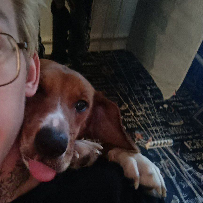 Пёсик по кличке Дизель