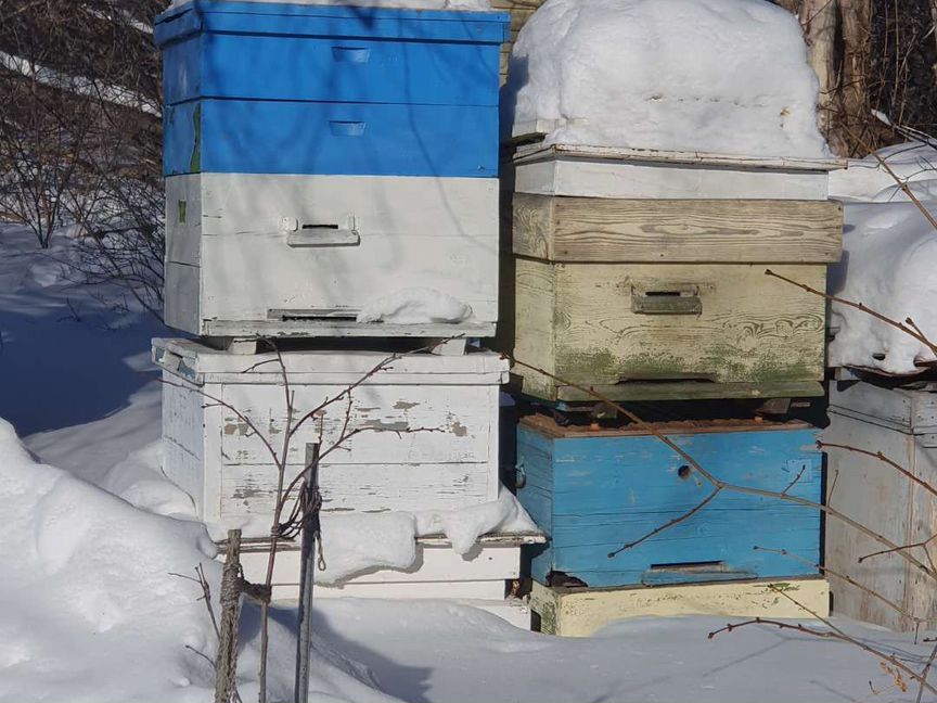 Улей деревянный 16 рамочный