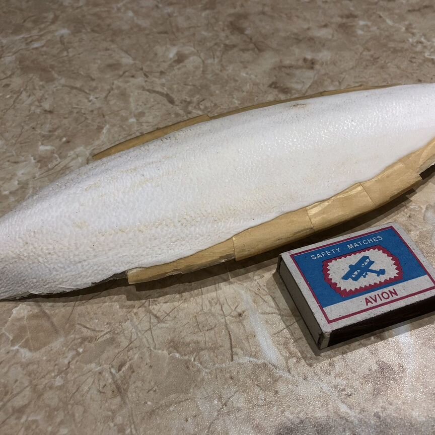 Сепия панцирь каракатицы