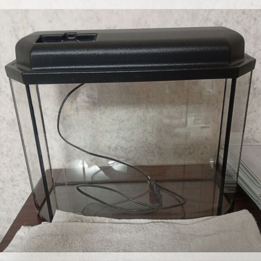 Аквариумные рыбки гуппи