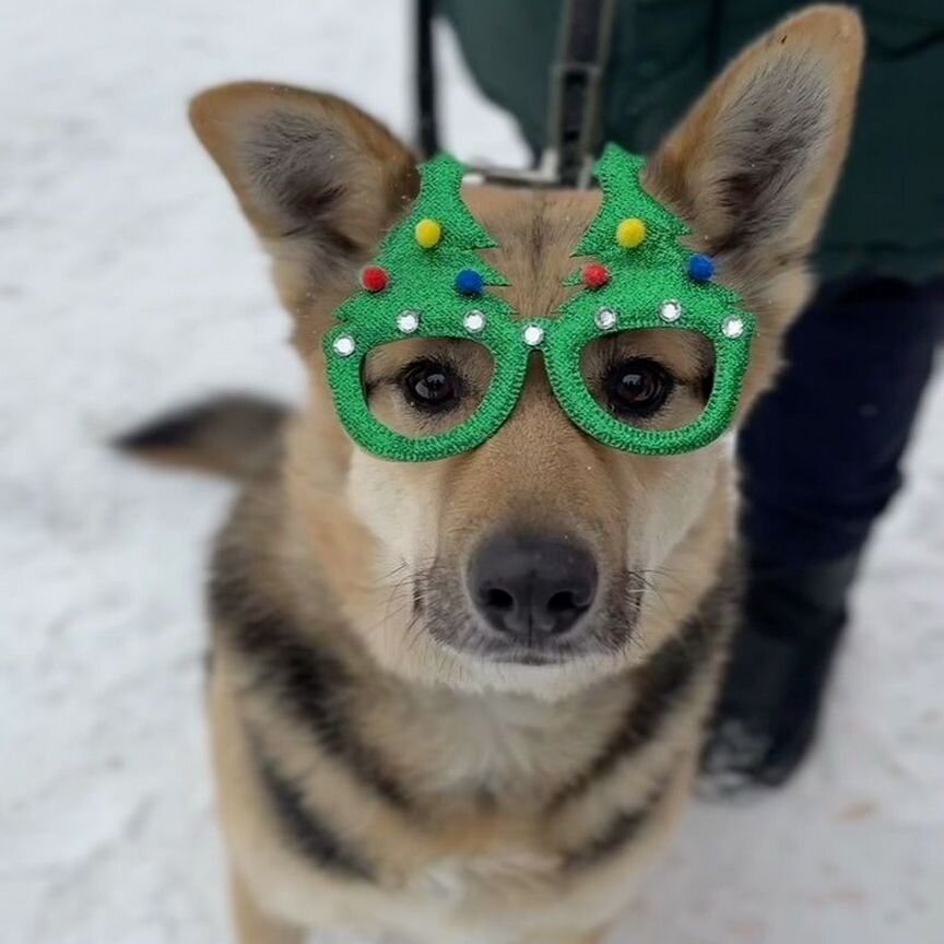 Джем поможет вам забыть все невзгоды