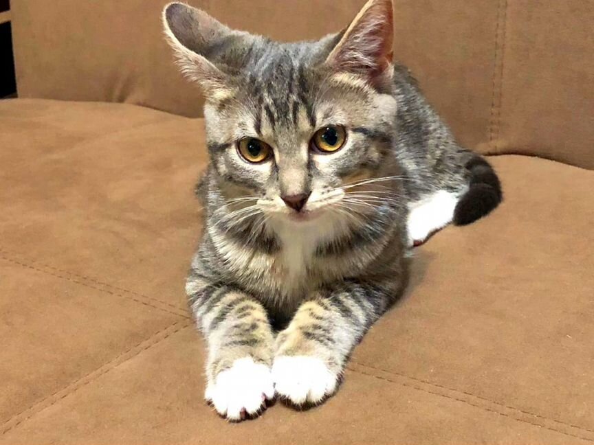 Девочка 5 мес