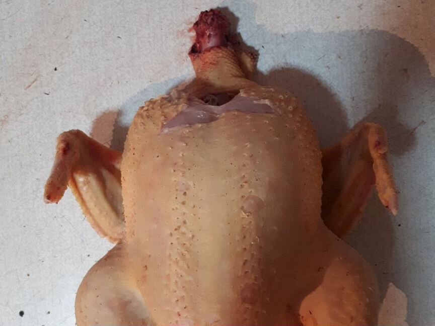 Цыплята бройлеры мясо