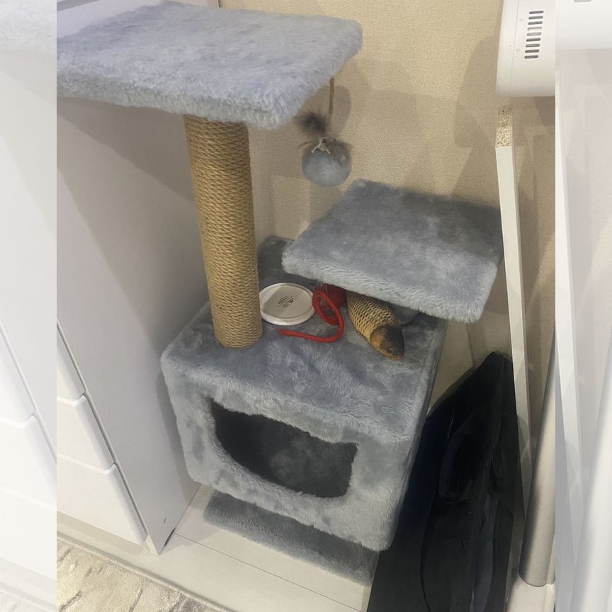 Кошачий домик