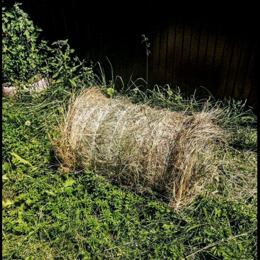 Сено в минирулонах