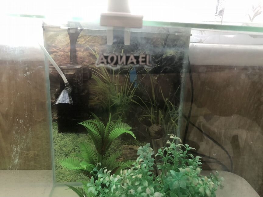 Аквариум aquael shrimp SET DAY & night 30 куб, бел