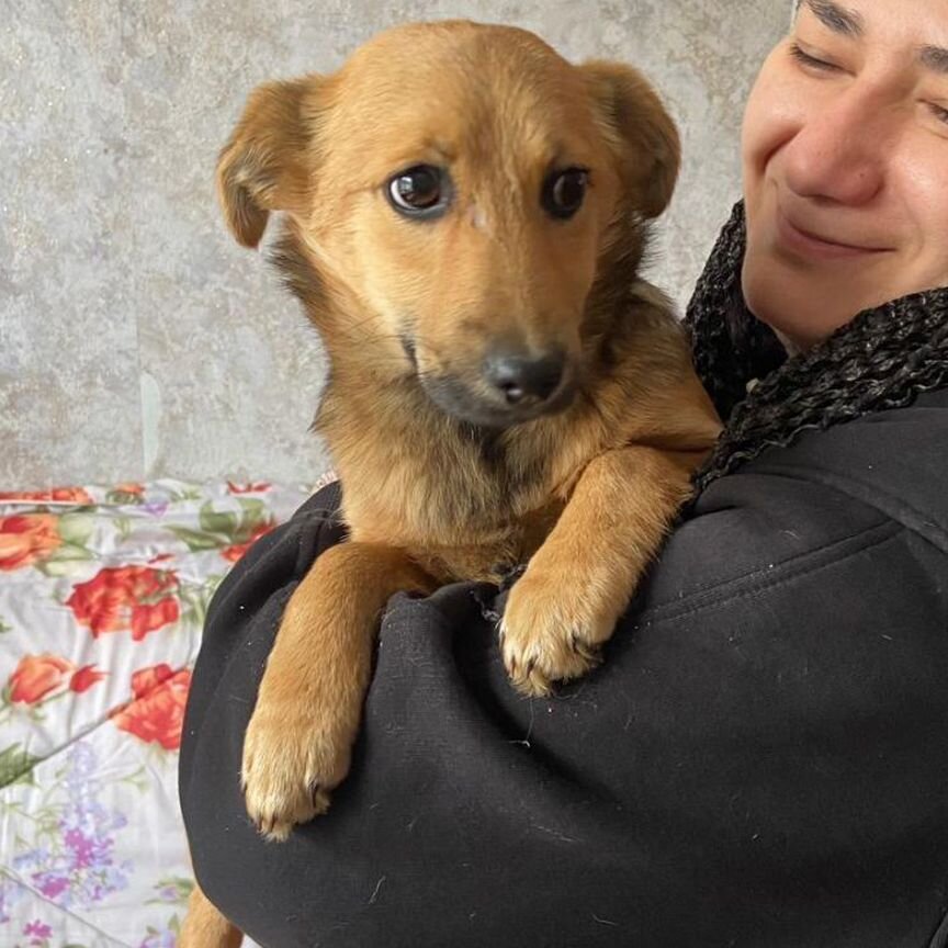 Щенулька для вас