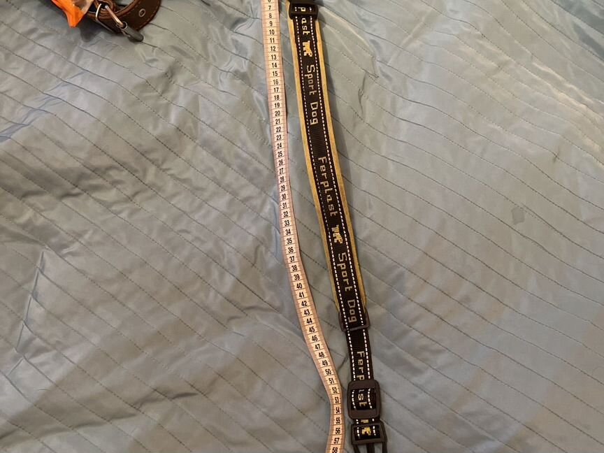 Ошейник для крупной собаки