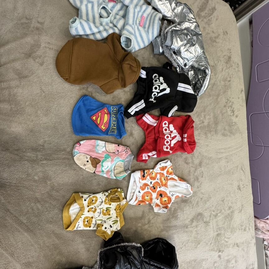 Веши для животных