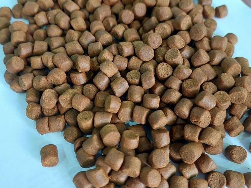 Корм для карпа