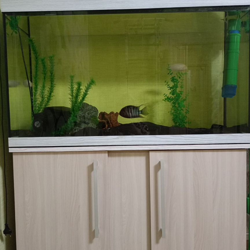 Аквариум 210 литров с тумбой