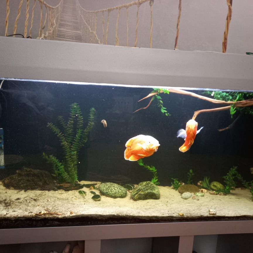 Продам Аквариум