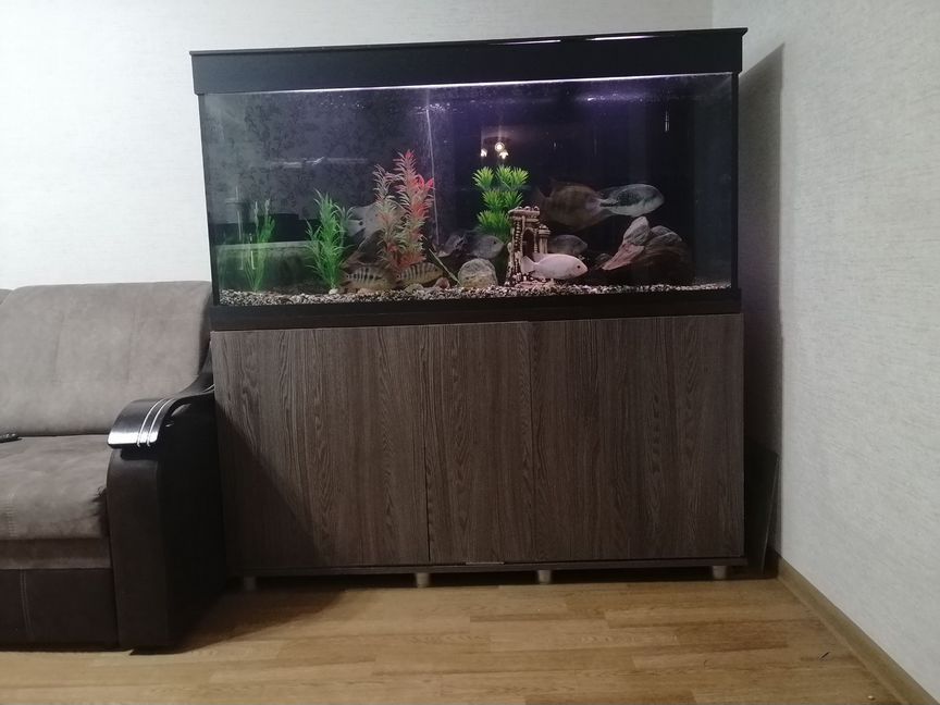 Аквариум с тумбой 500 литров