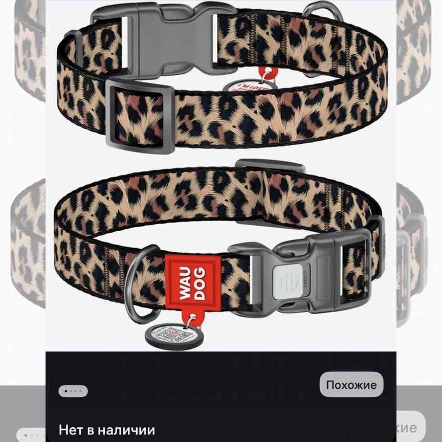 Ошейник для маленькой собаки