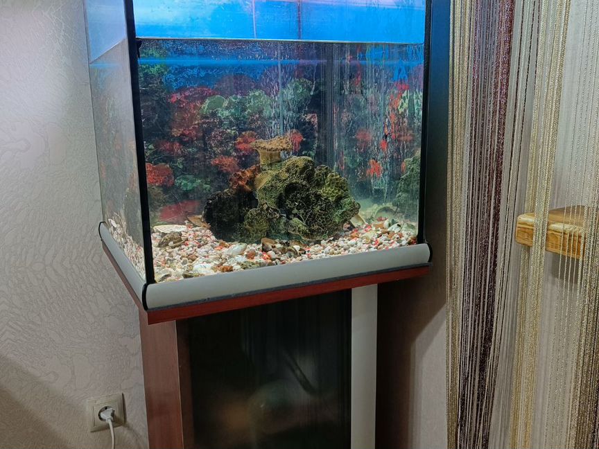 Аквариум с тумбой 145 литров