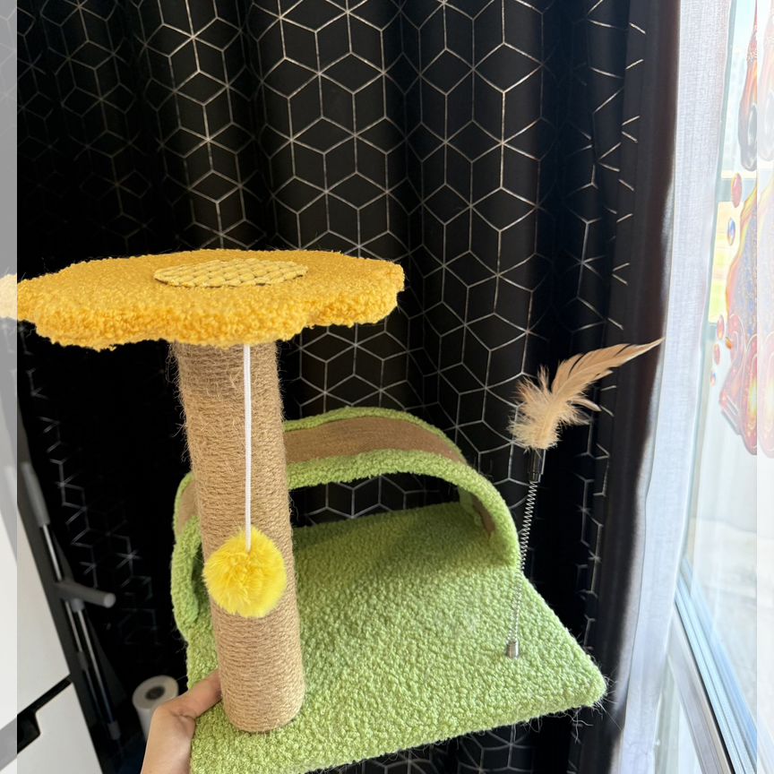 Когтеточка