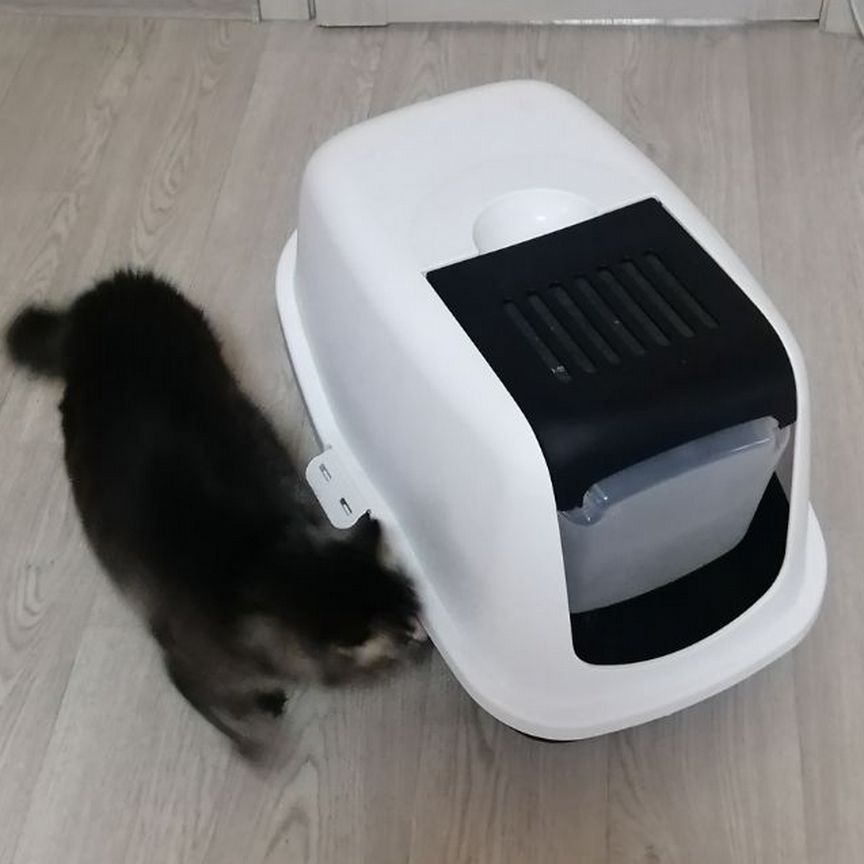 Закрытый лоток для кошек большой