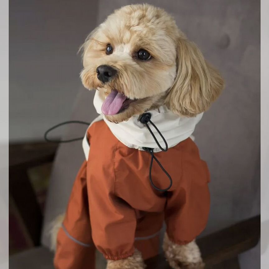 Комбинезон для маленькой собаки девочки