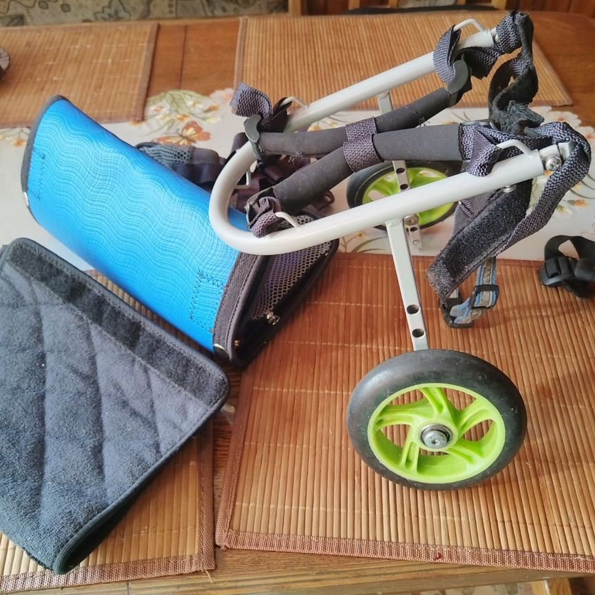 Коляска для собак инвалидов