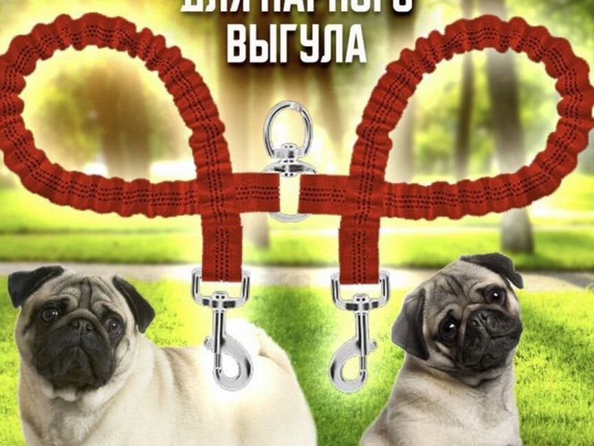 Шлейка для собаки