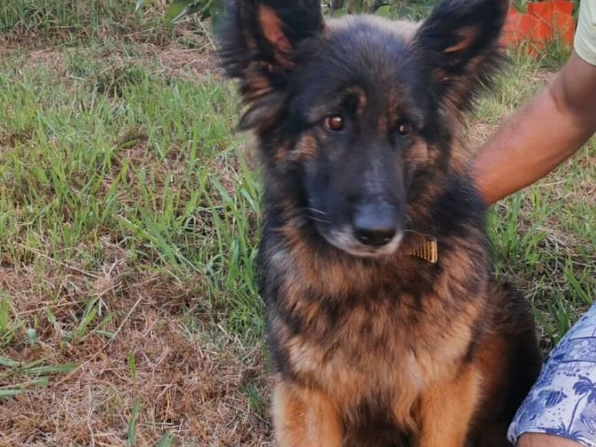 Великолепная умная девочка